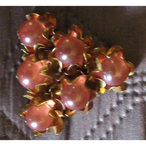 Unbranded | Accessories | Vintage Bakelite Grape Cluster Dress Fur Clip ...